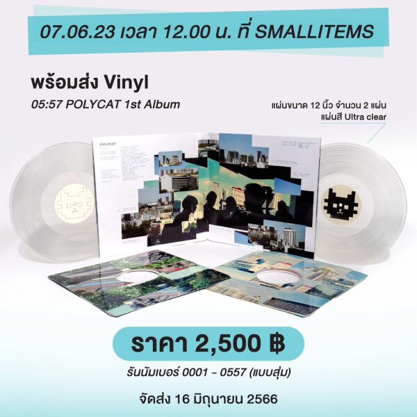 Double Vinyl : 05:57 | Polycat - Smallroom Shop