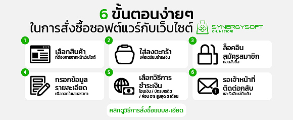 Synergysoft Online Store