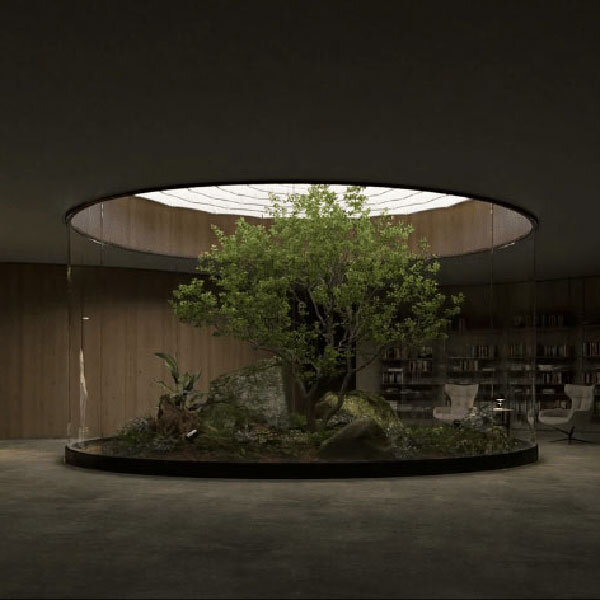 D5 Render Pro ถูกลิขสิทธิ์ เช่าใช้ 1 ปี 1 สิทธิ์ใช้งาน + Advance ...