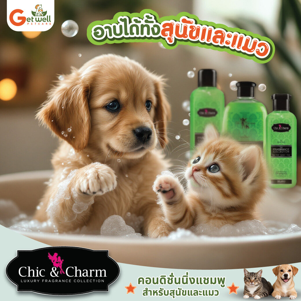 Chic & Charm แชมพูผสมครีมนวด สำหรับสุนัขและแมว - Get Well Pet Shop
