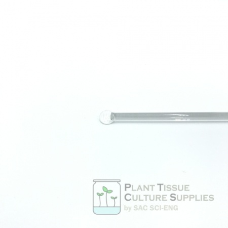 แท่งแก้วขนสาร - Stirring Rod ยาว 10 นิ้ว - Plant Tissue Culture ...