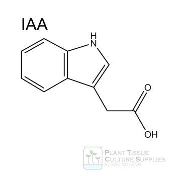 3-Indoleacetic acid (IAA) 5 gm. #I885 Phytotech - Plant Tissue Culture ...