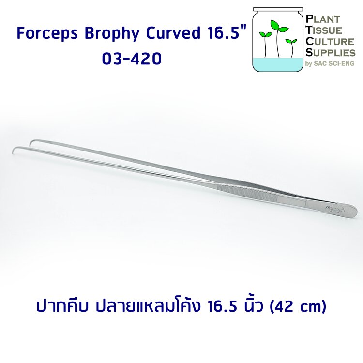 Forceps 16.5" ปากคีบปลายโค้ง 16.5 นิ้ว #03-420 IRONTEC - Plant Tissue ...
