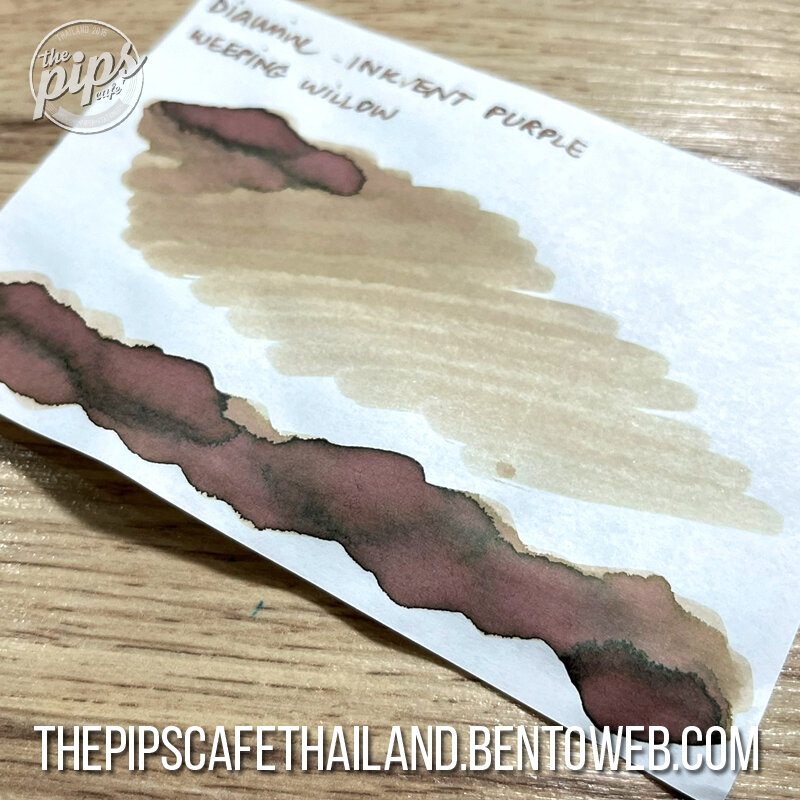 Diamine : Weeping Willow - Inkvent Purple Edition (50ml.) - The PIPS Cafe'