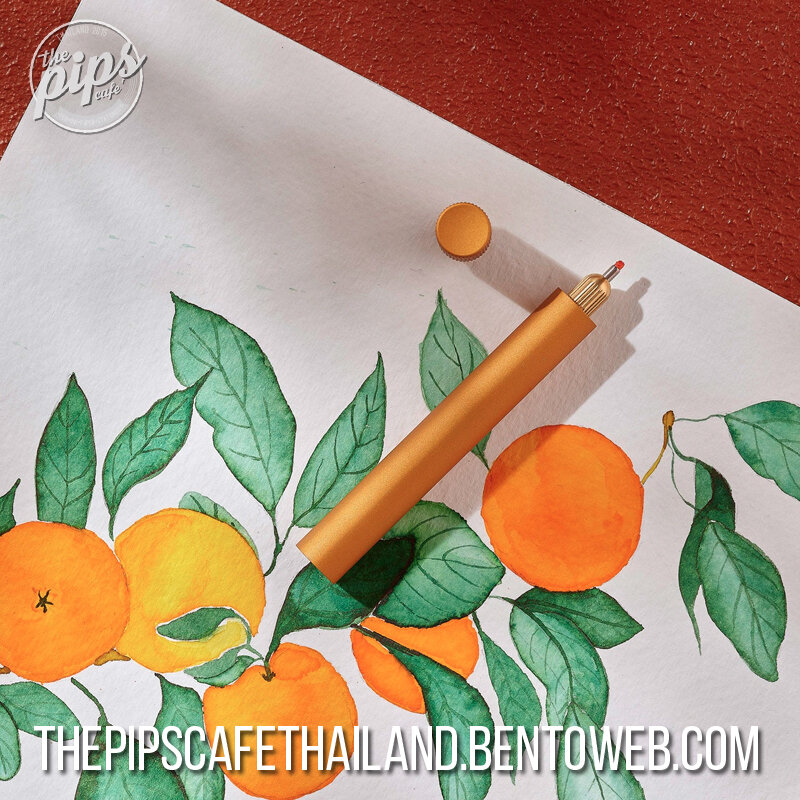 Toms' Studio : Lumos mini - Matte Clementine - Limited edition - The ...