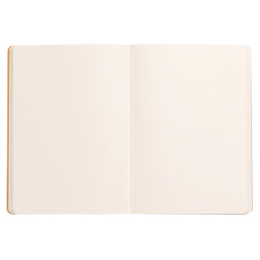 Rhodiarama : Notebook Softcover - A5 - Bronze (4784) - The PIPS Cafe'