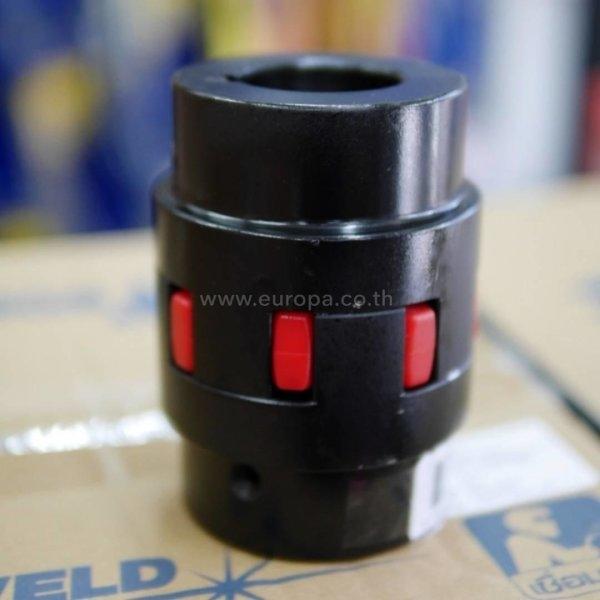 เกจวัดแรงดัน 600 บาร์ (สำหรับ INTERPUMP) - EUROPA.co.th