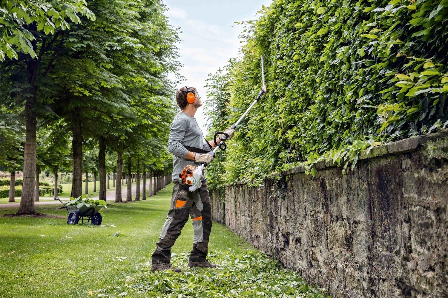 STIHL HL92C เครื่องตัดแต่งกิ่งไม้ที่สูง (เครื่องยนต์เบนซิน 2 จังหวะ ...