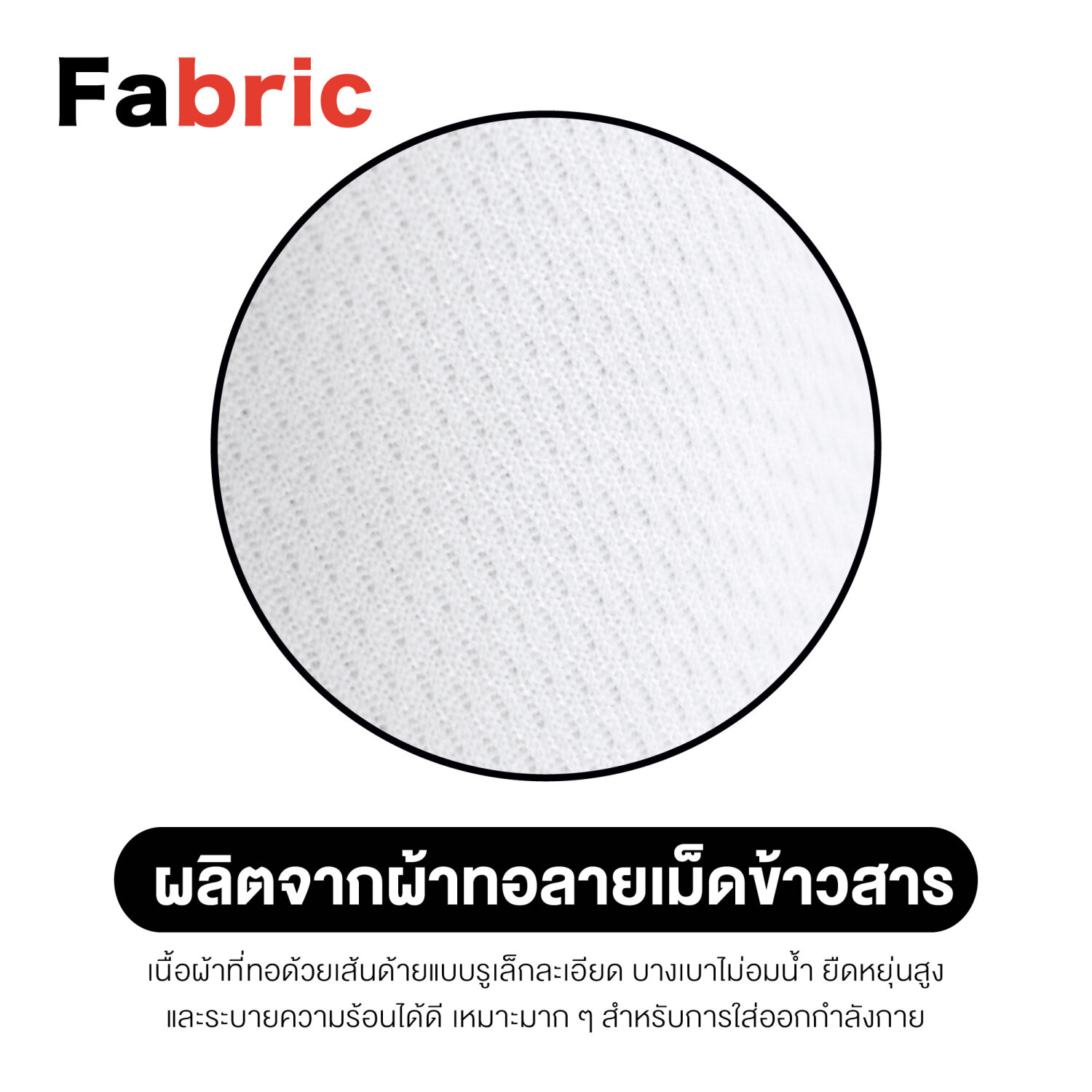 เสื้อวิ่งปีมะเส็ง (ปีงู) 2025 - WingNaiDee