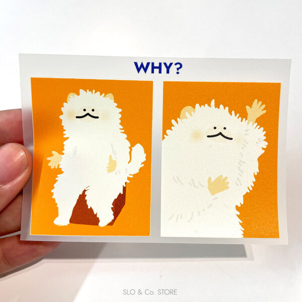 WHY Sticker - SLO & Co.
