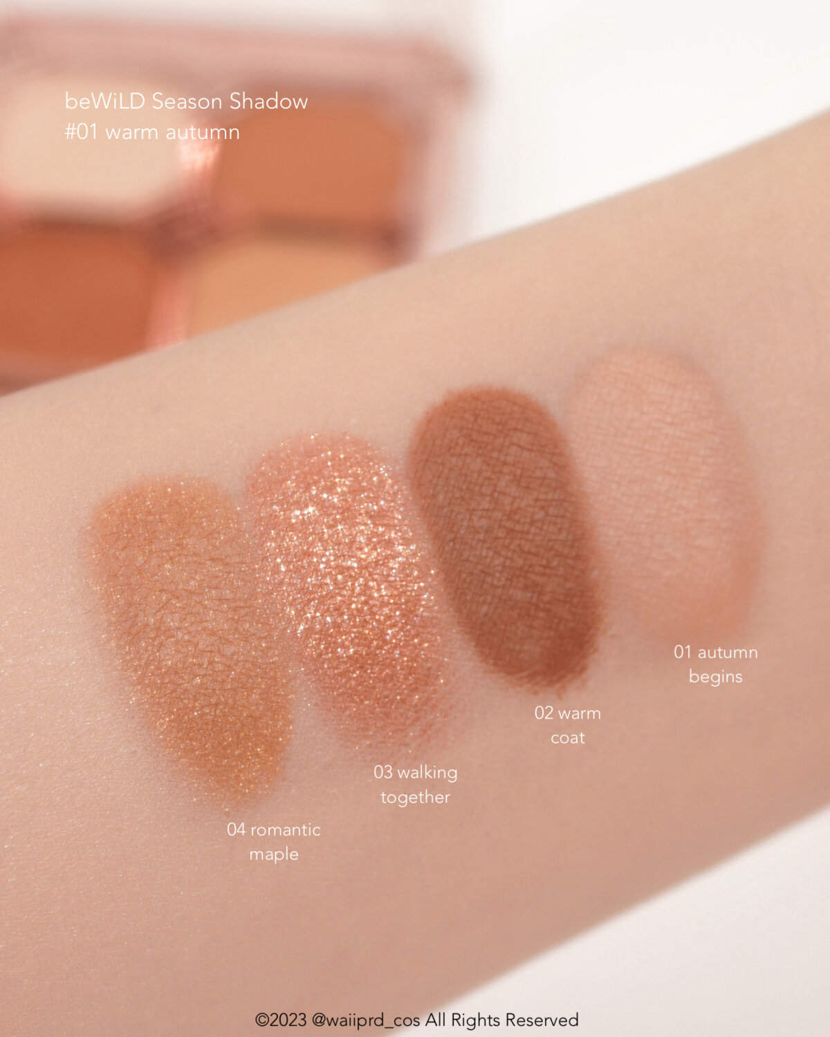 beWiLD Season Shadow - beWiLD Cosmetics