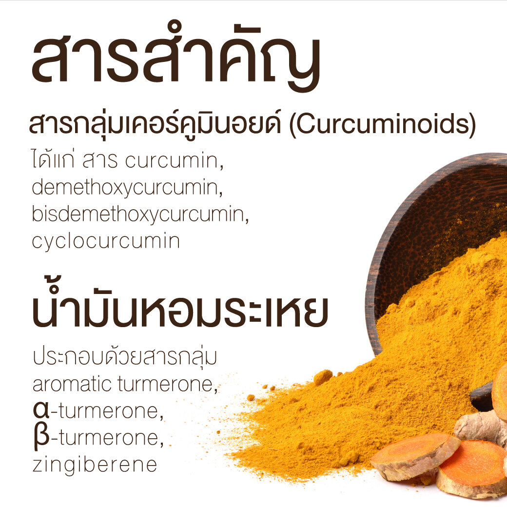 ขมิ้นชัน สมุนไพรเพื่อความงาม - GPOPLANETองค์การเภสัชกรรม