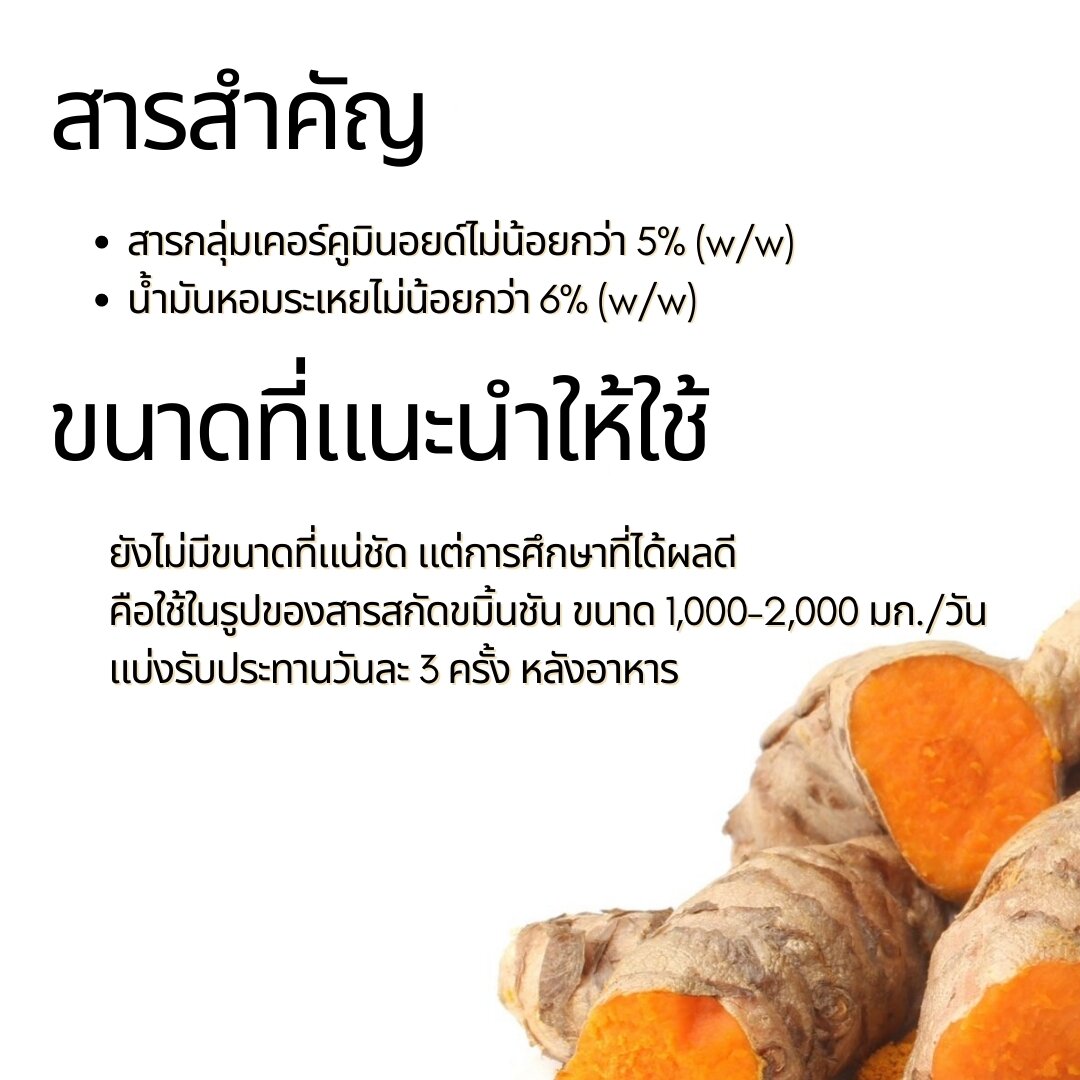 รายการ 91+ ภาพ ร้านยาองค์การเภสัชกรรม ออนไลน์ ใหม่ที่สุด