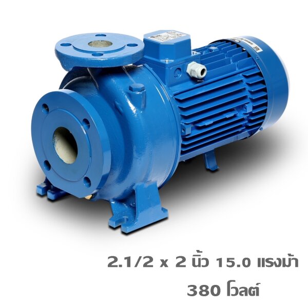 EBARA 3D 50-160/7.5 ปั้มหอยโข่ง (หน้าแปลน) 2.1/2 x 2 นิ้ว 10.0 แรงม้า 380 โวลต์ (ไม่รวมหน้าแปลน ...