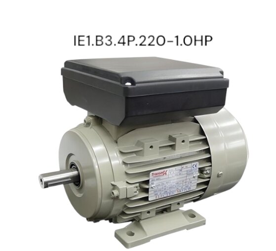 HASCON HAL100L1-4 มอเตอร์ (แบบขาตั้ง) 3.0 แรงม้า (2.2kW.| 220V 4P IP55 ...