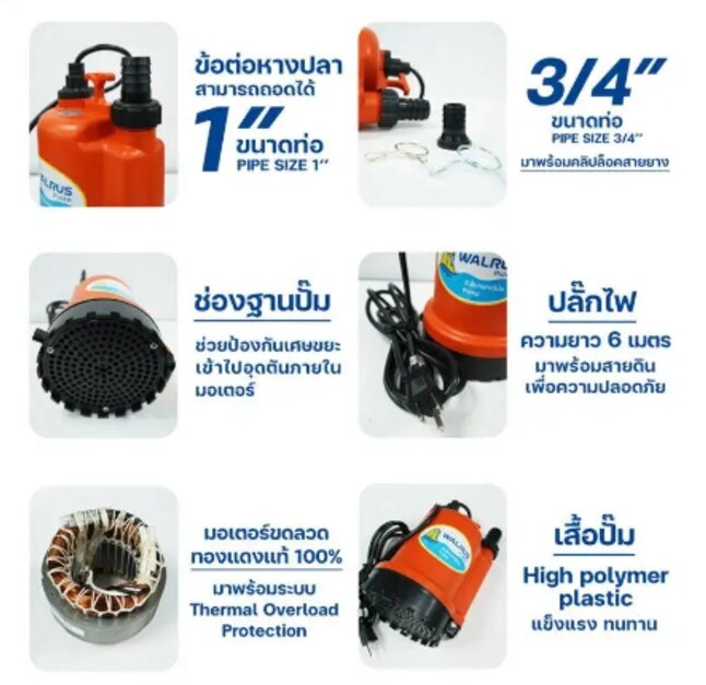 WALRUS PW100E ปั๊มแช่ ไดโว่ 1 นิ้ว (100W.| 220V.) - HereTools