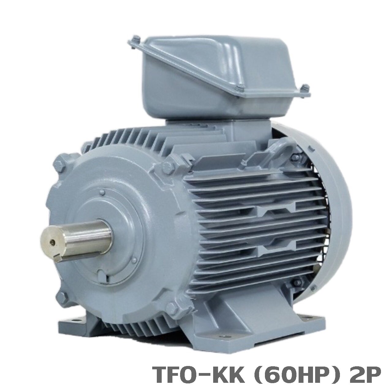 HITACHI TFO-KK 60HP 2P.380V IP55 IE1 มอเตอร์ 60 แรงม้า 2 Pole 380V. (45 kW.) - HereTools