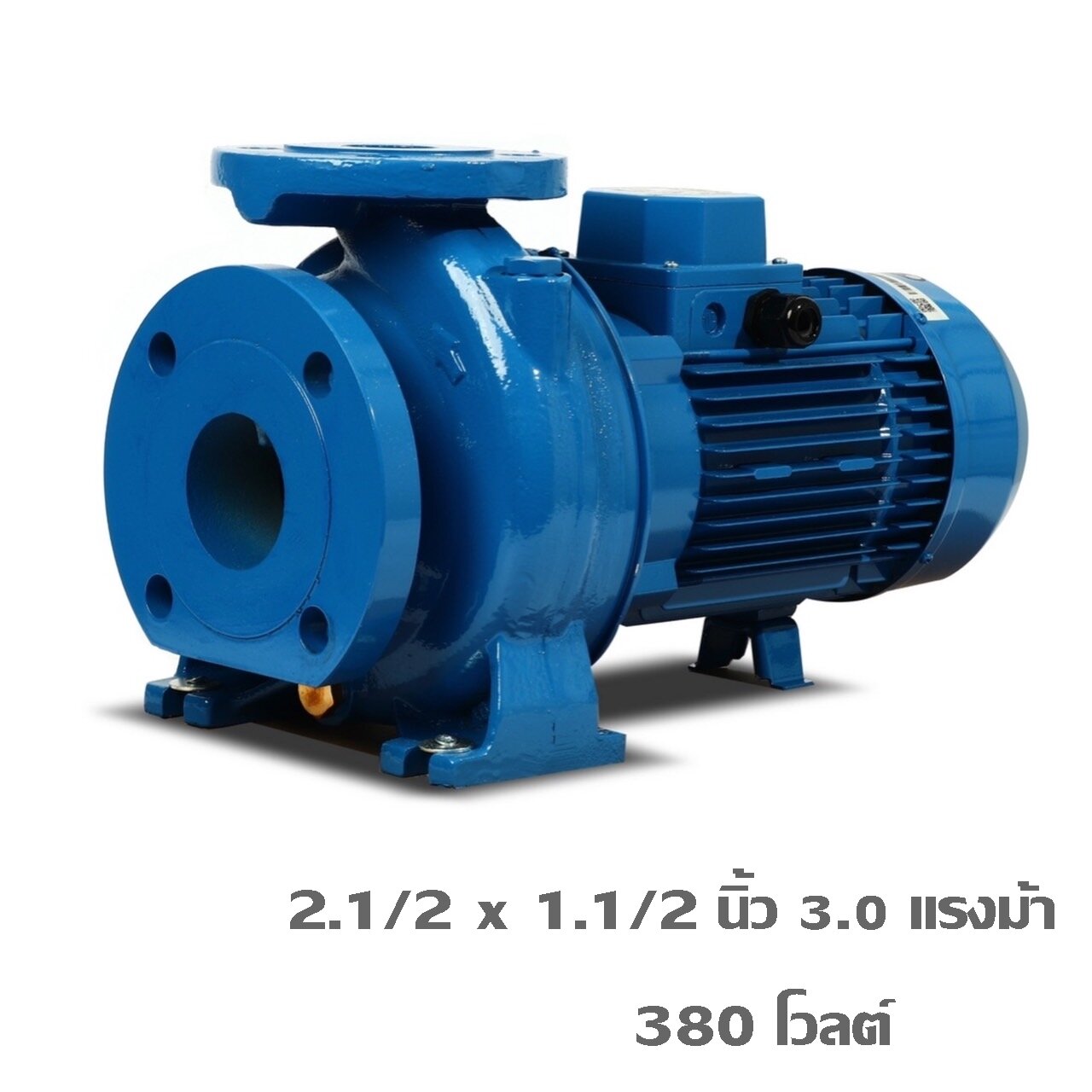 EBARA 3D 40-125/2.2 ปั้มหอยโข่ง (หน้าแปลน) 2.1/2 x 1.1/2 นิ้ว 3.0 แรงม้า 380 โวลต์ - HereTools