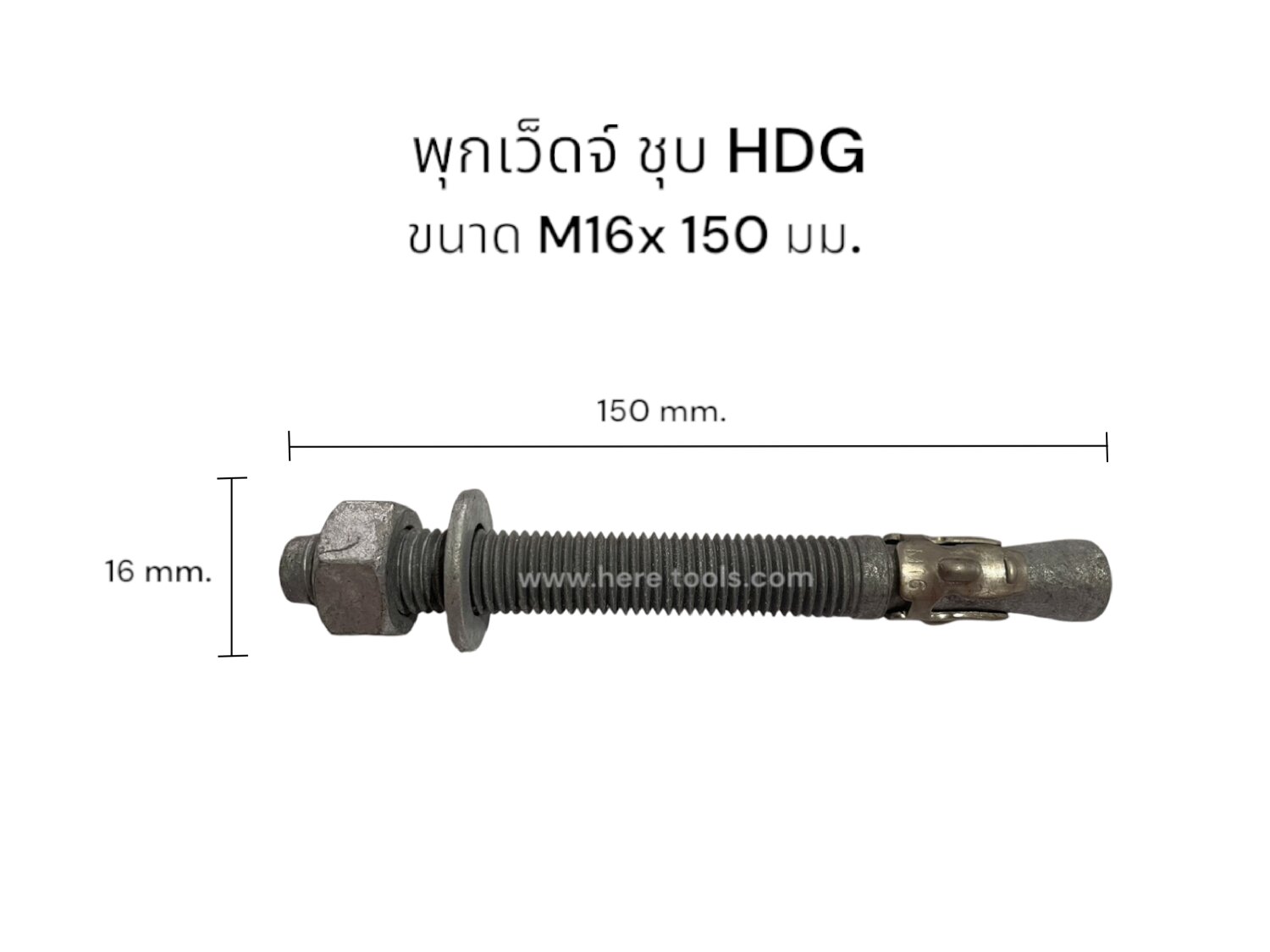 PERUNYA WA-16150-HDG พุกเว็ดจ์ (Wedge Anchors) ขนาด M16 x 150 มม. ชุบ ...