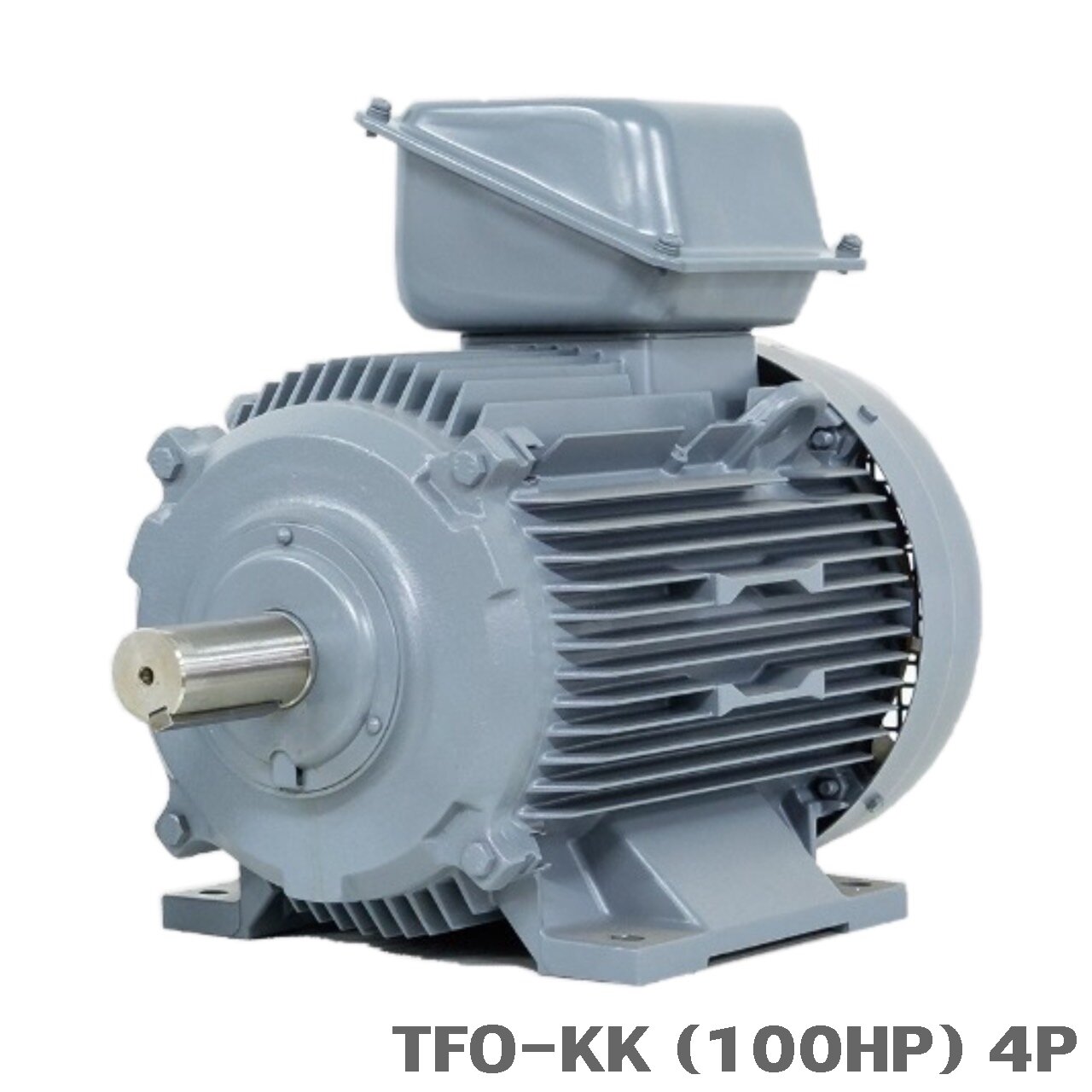 HITACHI TFO-KK 100 HP 380V.4P มอเตอร์ 100 แรงม้า 4 Pole 380V (75 kW.| IP55 | รับประกัน 3 ปี ...