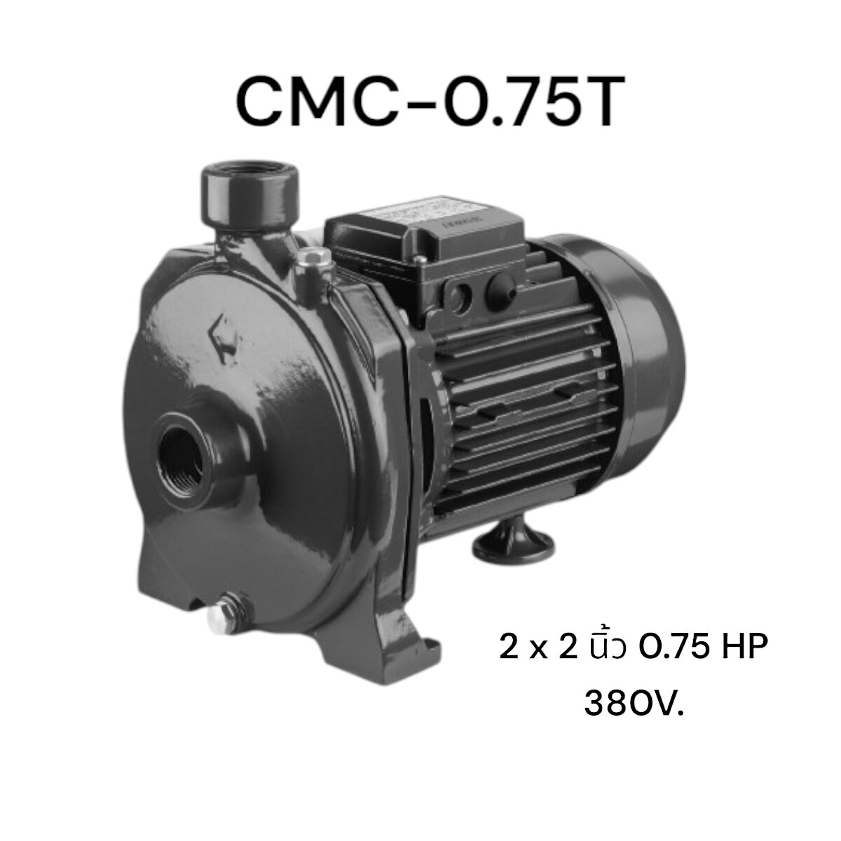 EBARA CMC-0.75T ปั๊มหอยโข่ง 2 x 2 นิ้ว 0.75 HP 380V. - HereTools