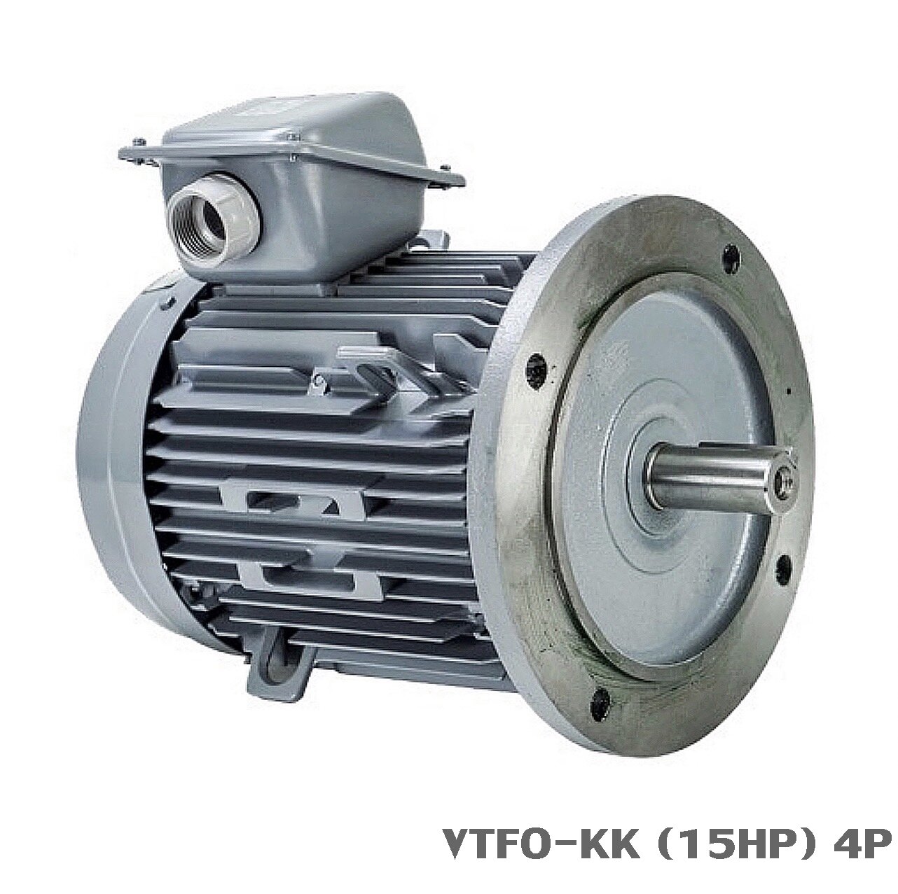 HITACHI VTFO-KK-15HP.4P.380V มอเตอร์หน้าจาน 15 HP. 4 Pole 380V. (รับประกัน 3 ปี) - HereTools