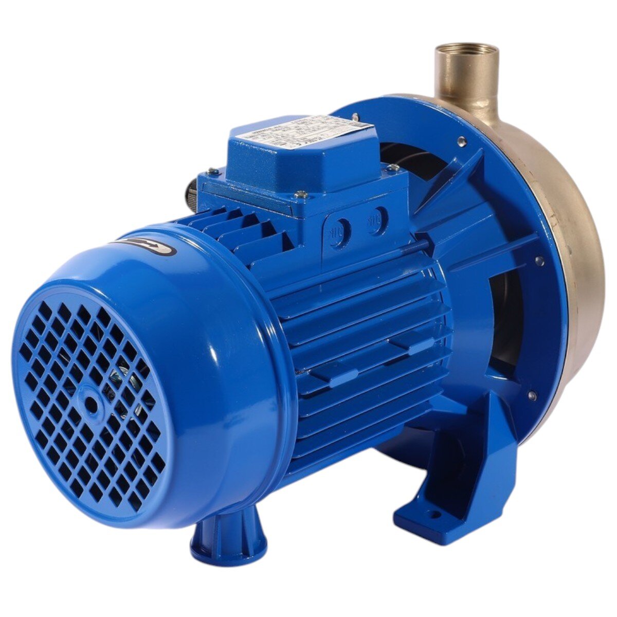 EBARA CDX-200/20 ปั๊มหอยโข่งสแตนเลส ใบพัดเดี่ยว 1-1/2 x 1 นิ้ว 2.0 HP ...