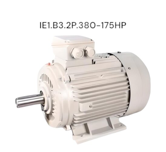 HASCON IE1.B3.2P.380-175HP มอเตอร์ รุ่น IE1(แบบขาตั้ง) 175.0แรงม้า (132 ...