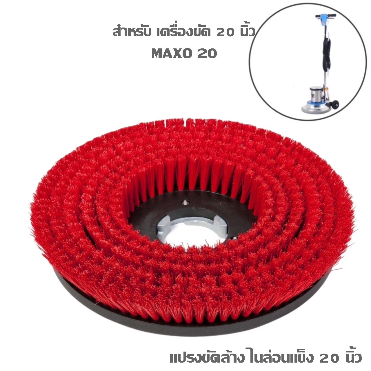 Champion C042-0260 แปรงขัดล้าง ไนล่อนแข็ง 20 นิ้ว (สำหรับ เครื่องขัด 20 นิ้ว MAXO 20) - HereTools