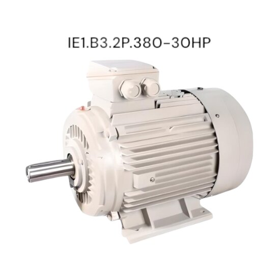 HASCON IE1.B3.2P.380-30HP มอเตอร์ รุ่น IE1 (แบบขาตั้ง) 30.0 แรงม้า (22 ...