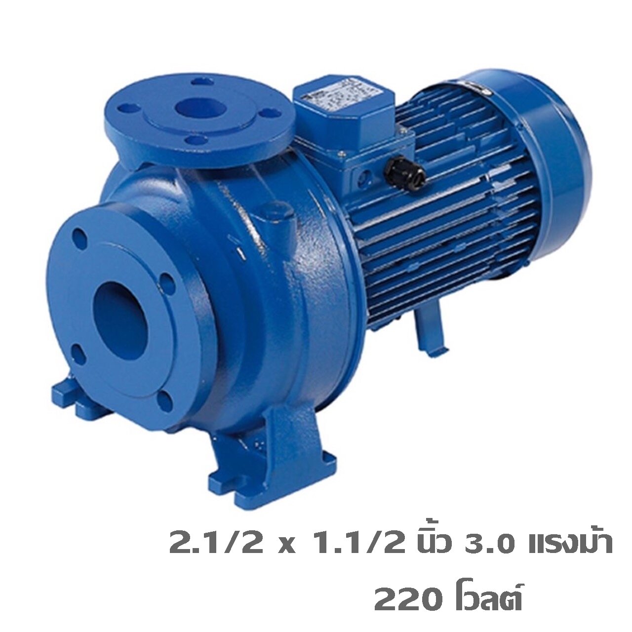 EBARA 3D 40-125/2.2 M ปั้มหอยโข่ง (หน้าแปลน) 2.1/2 x 1.1/2 นิ้ว 3.0 แรงม้า 220 โวลต์ (ไม่รวมหน้า ...