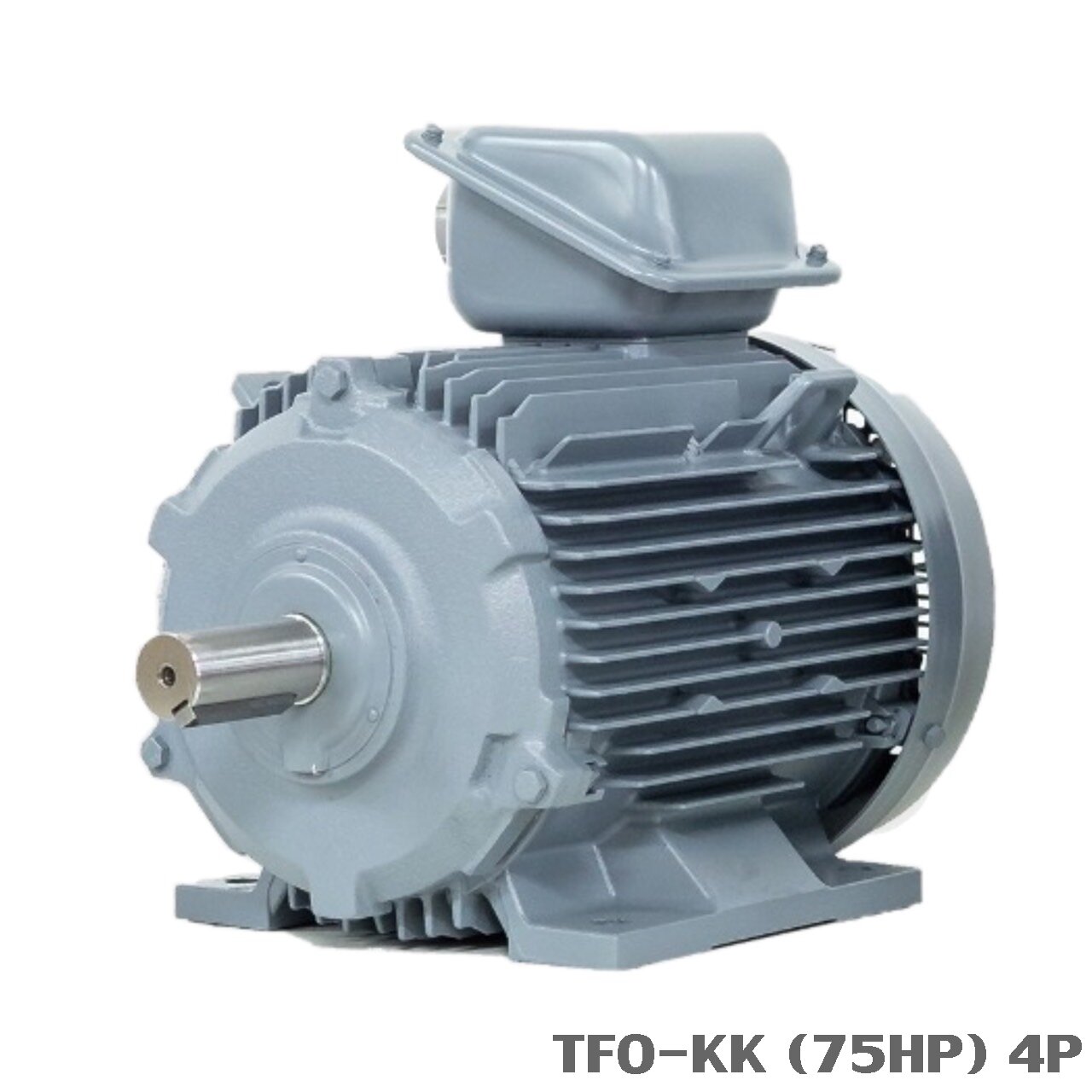 HITACHI 75.0HP-TFO-KK.4P.(IP55) มอเตอร์ (ขาตั้ง) 75.0 แรงม้า 4 Pole ...