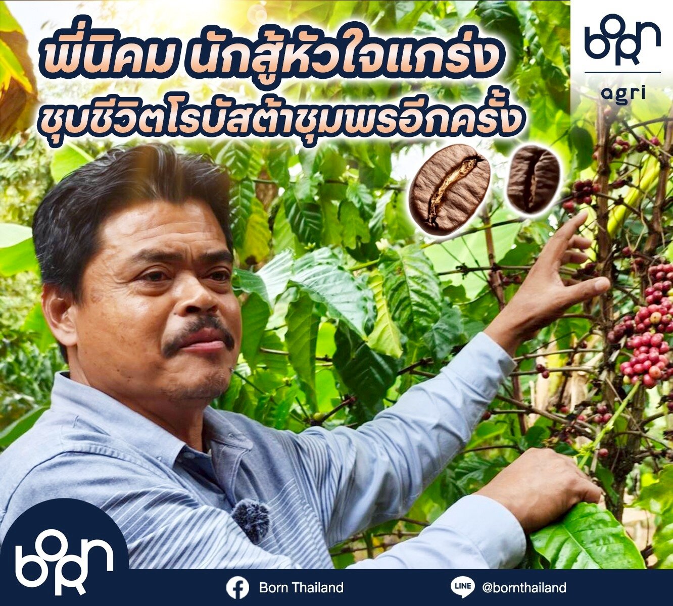 (ชุมพร) กาแฟถ้ำสิงห์ Dry Process - BORNTHAILAND