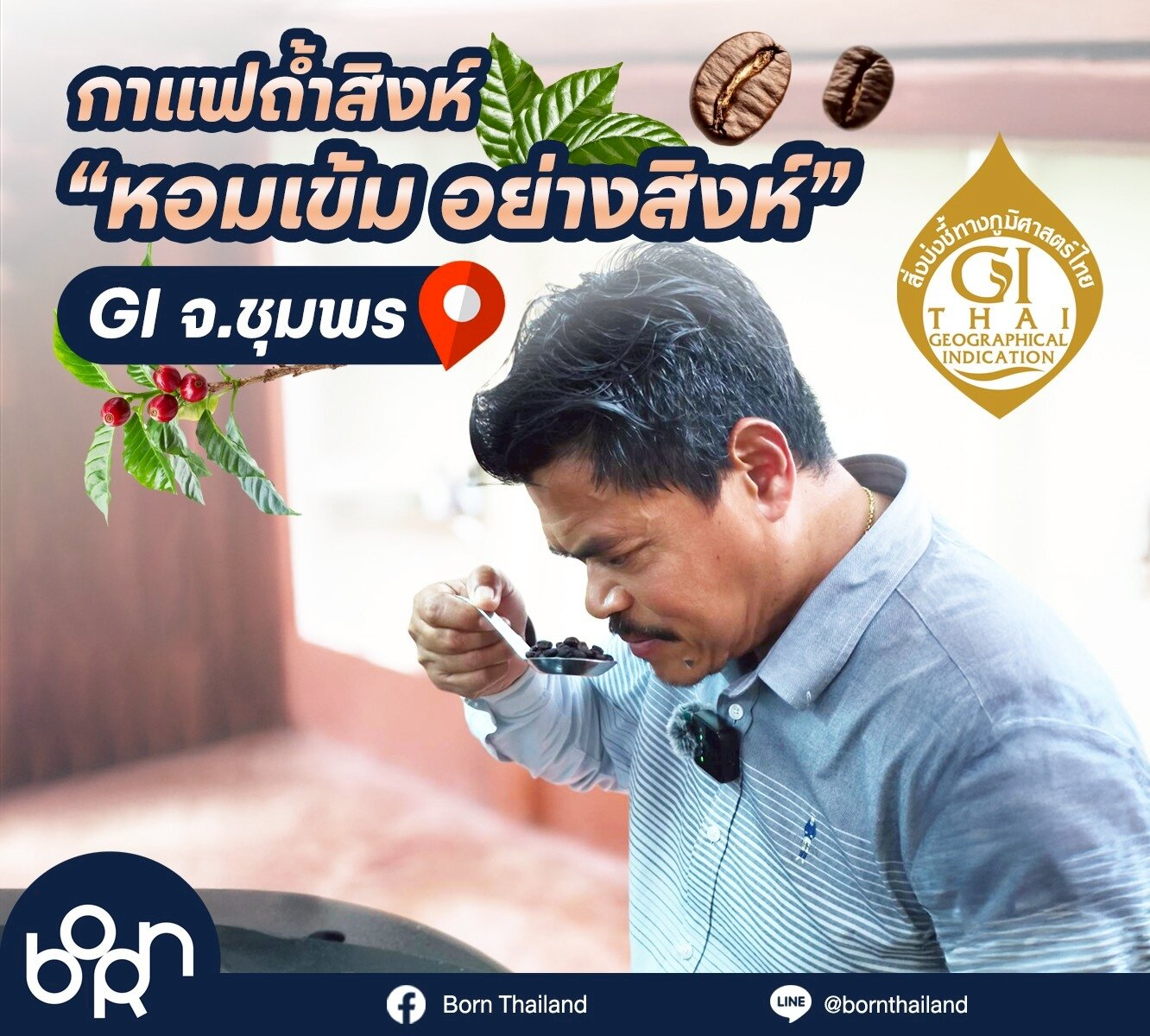 (ชุมพร) กาแฟถ้ำสิงห์ Dry Process - BORNTHAILAND