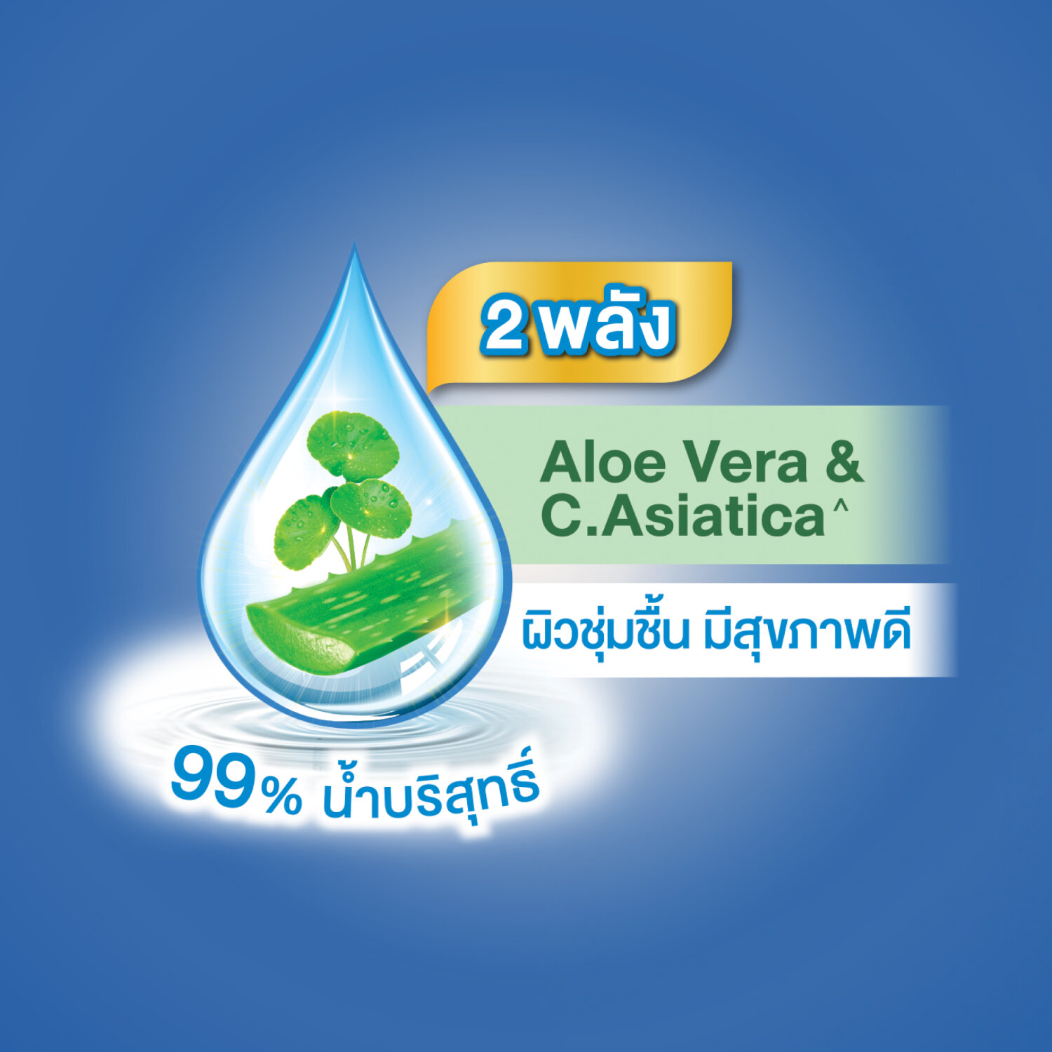 [ขายยกลัง] Certainty เซอร์เทนตี้ ผ้าเช็ดทำความสะอาดผิวสำหรับผู้ใหญ่ (100 แผ่น x 8 แพ็ค ...