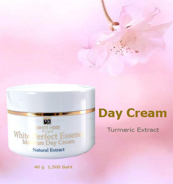 Day Cream 40g. - บริษัท ภูต้นน้ำ จำกัด