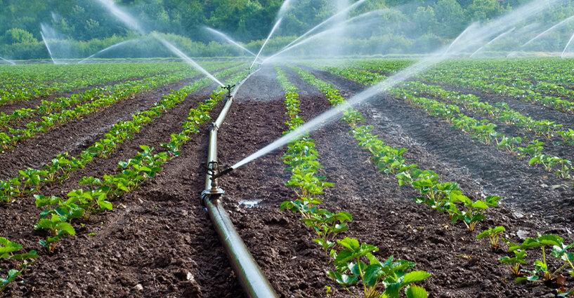 5 ข้อต้องรู้ หากจะวางระบบน้ำการเกษตรด้วยท่อ Pe ให้มีคุณภาพ Kanok Product