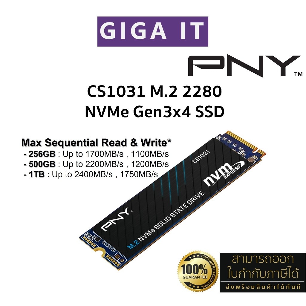 PNY CS1031 M 2 2280 NVMe Gen3x4 SSD 256GB 500GB 1TB PNY CS1031 M 2 2280 NVMe Gen3x4 SSD 256GB 500GB 1TB