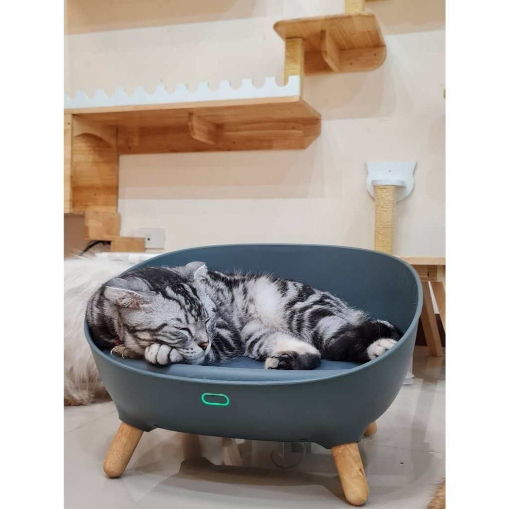 Redirecting to https://www.bentoweb.com