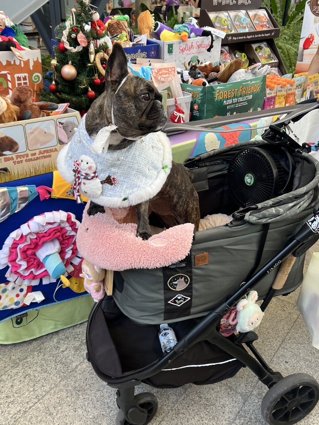 Doggi Day ครั้งที่ 19 by หมาติดเที่ยว l FikaGO Thailand - Pet And Play