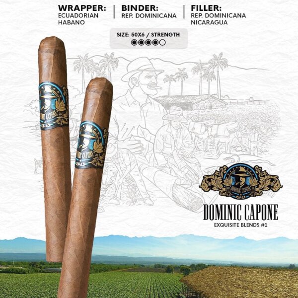 ซิการ์ ยาสูบ และไวน์ | Cigar, Tobacco and Wine - SKGF