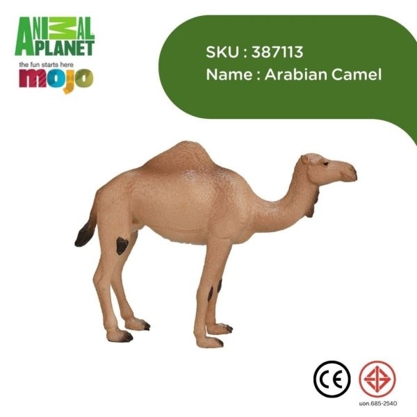 Figure Mojo โมเดล ของเล่นเด็ก Animal Planet Model 387113 Arabian Camel ...