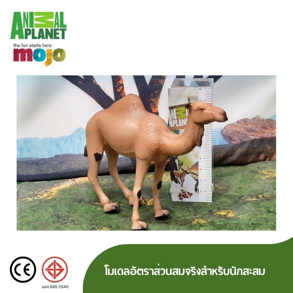 Figure Mojo โมเดล ของเล่นเด็ก Animal Planet Model 387113 Arabian Camel ...