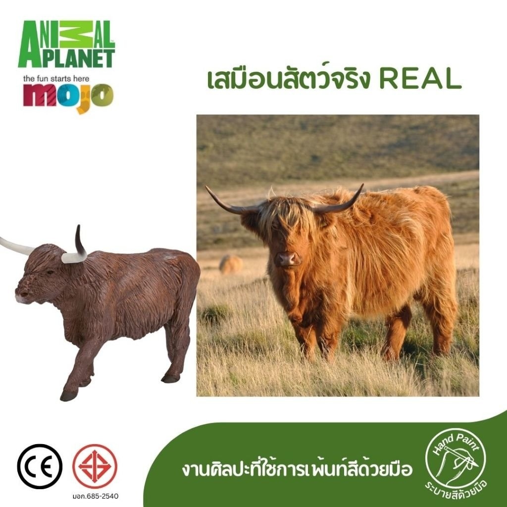 Figure Mojo โมเดล ของเล่นเด็ก Animal Planet Model 387199 Highland Cow ...