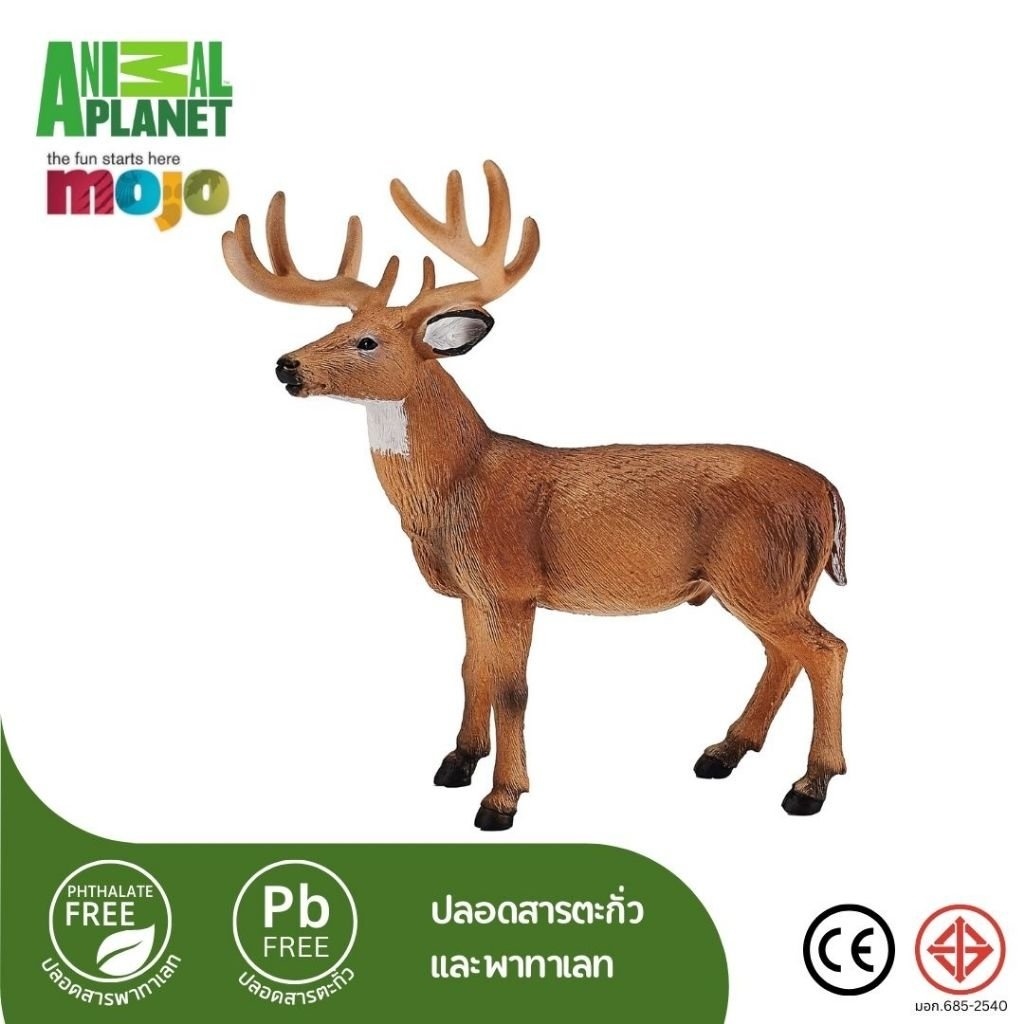 Figure Mojo โมเดล ของเล่นเด็ก Animal Planet Model 387038 White Tailed ...