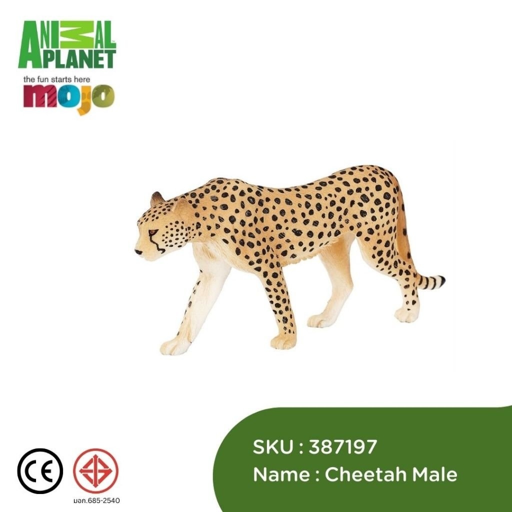 Figure Mojo โมเดล ของเล่นเด็ก Animal Planet Model 387197 Cheetah Male ...