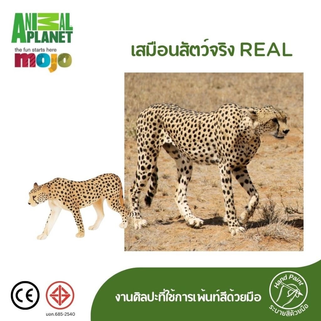 Figure Mojo โมเดล ของเล่นเด็ก Animal Planet Model 387197 Cheetah Male ...