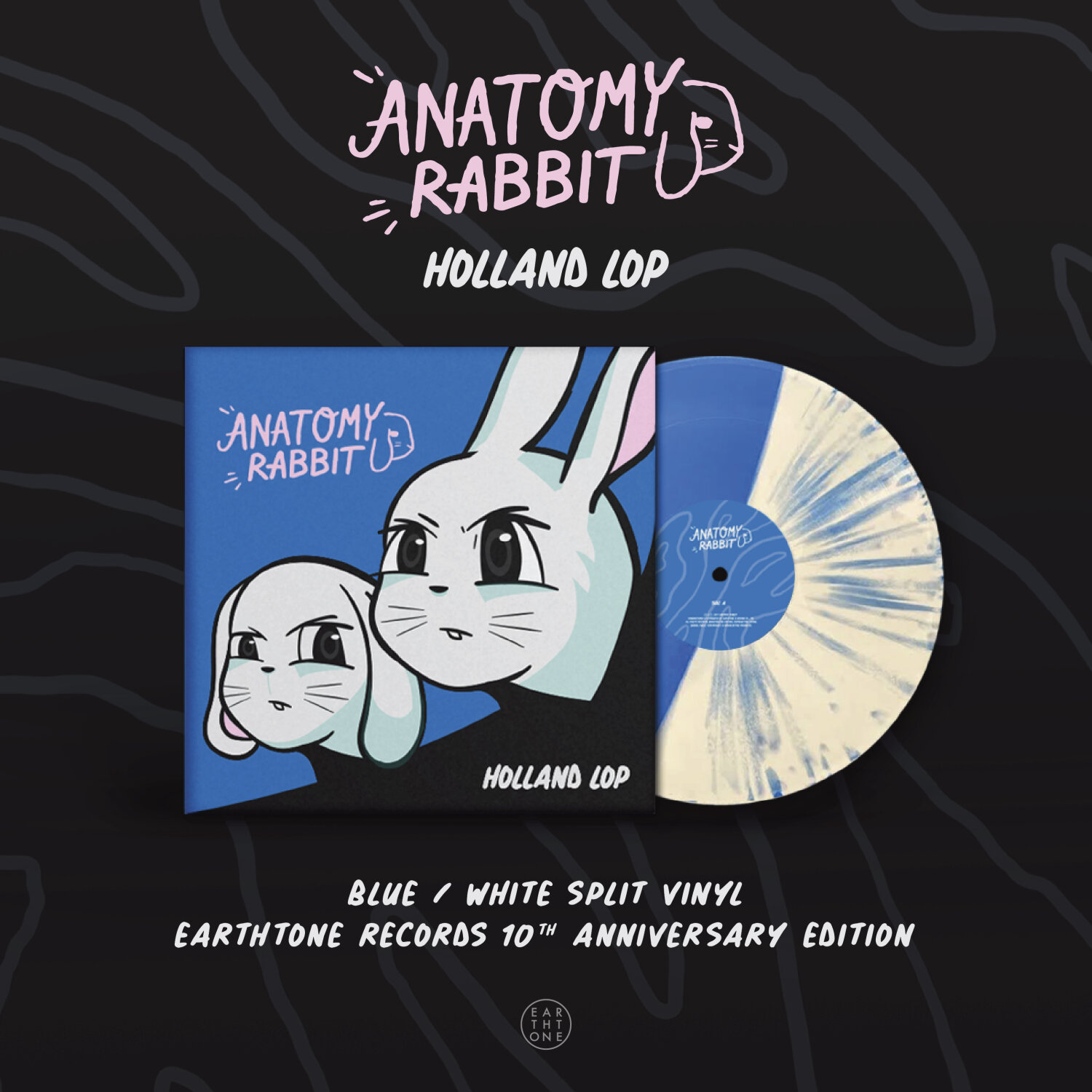 Anatomy Rabbits : Holland Lop - Earthtone Records