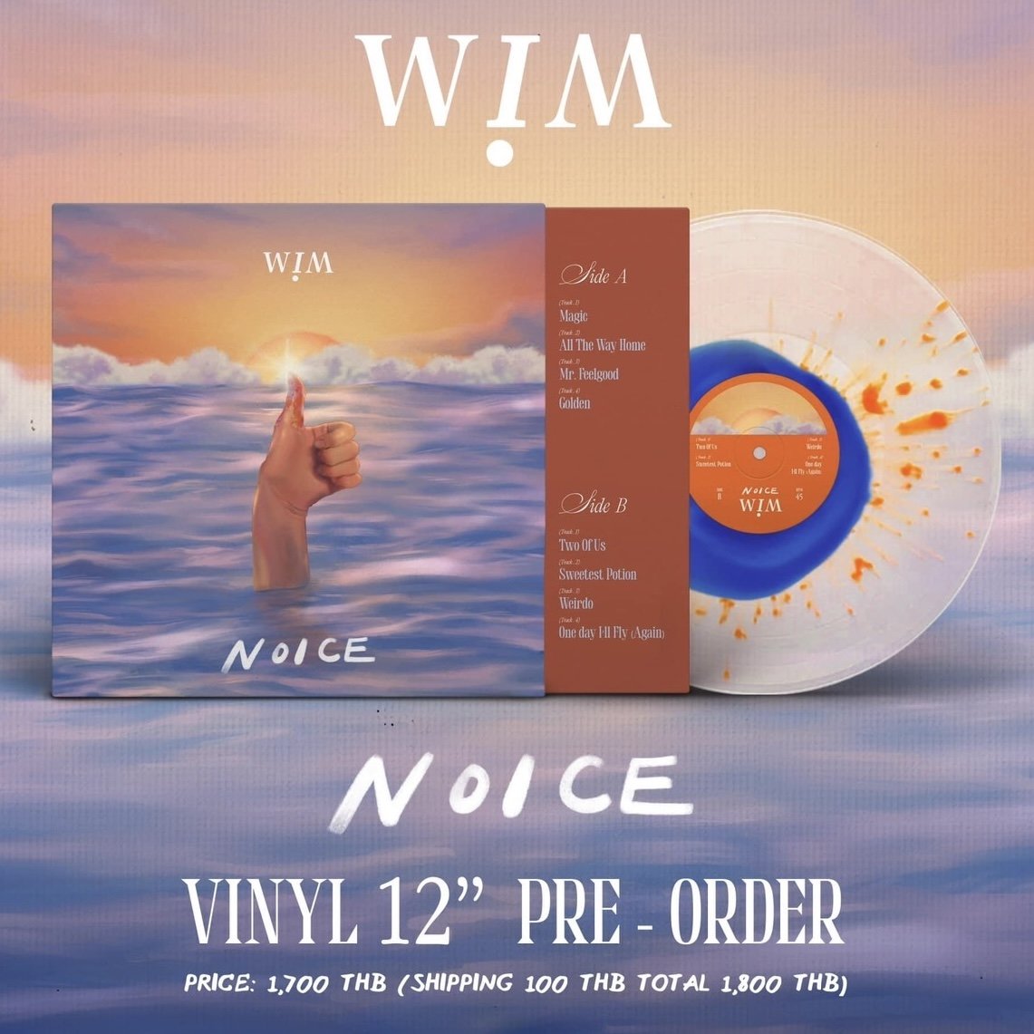 WIM : NOICE (VINYL 12”) - Earthtone Records